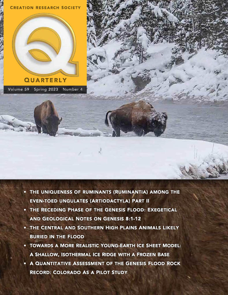 Towards a More Realistic Young-Earth Ice Sheet Model: A Shallow ...